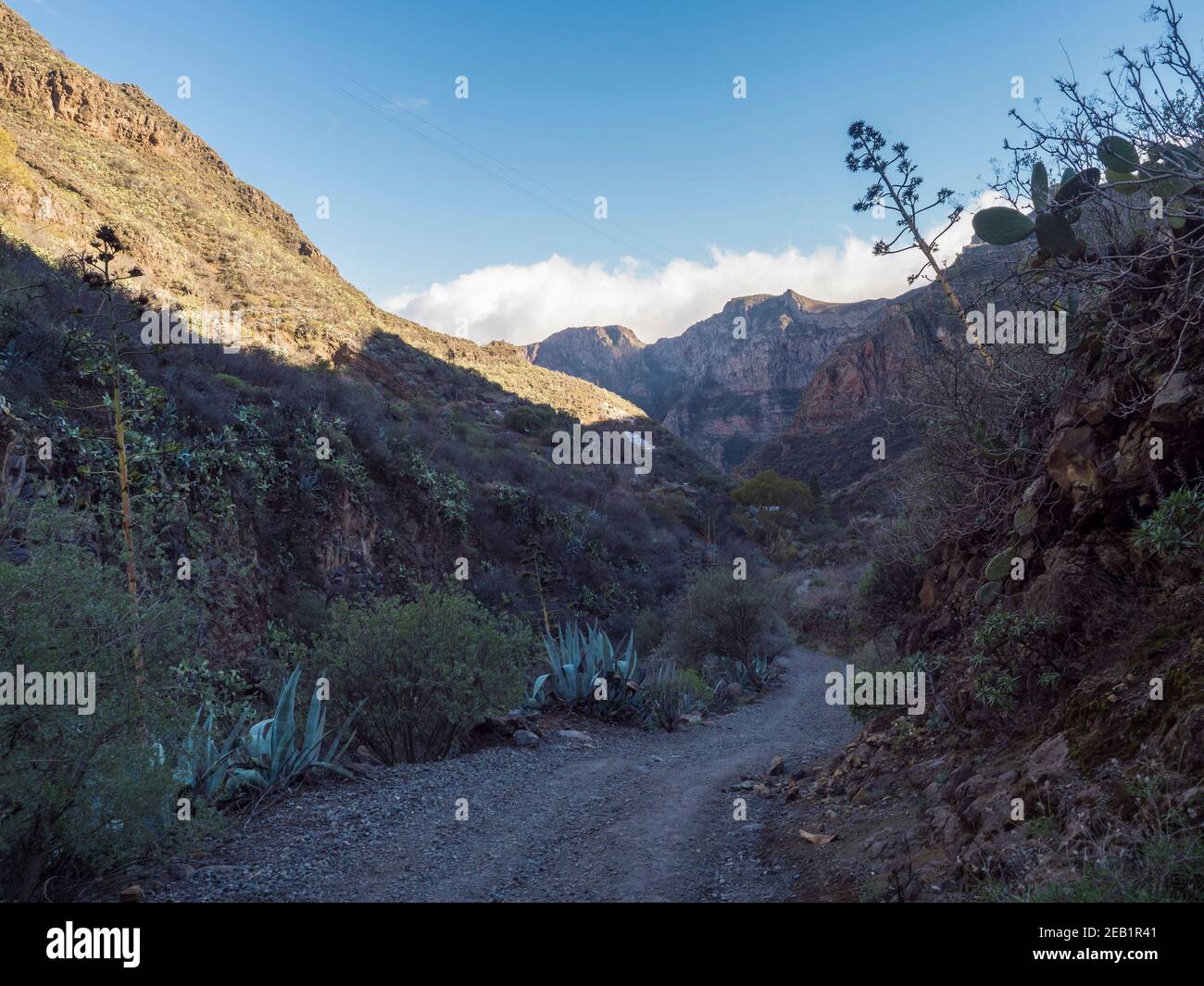 Barranco de guayadeque ravine gran hi-res stock photography and images ...
