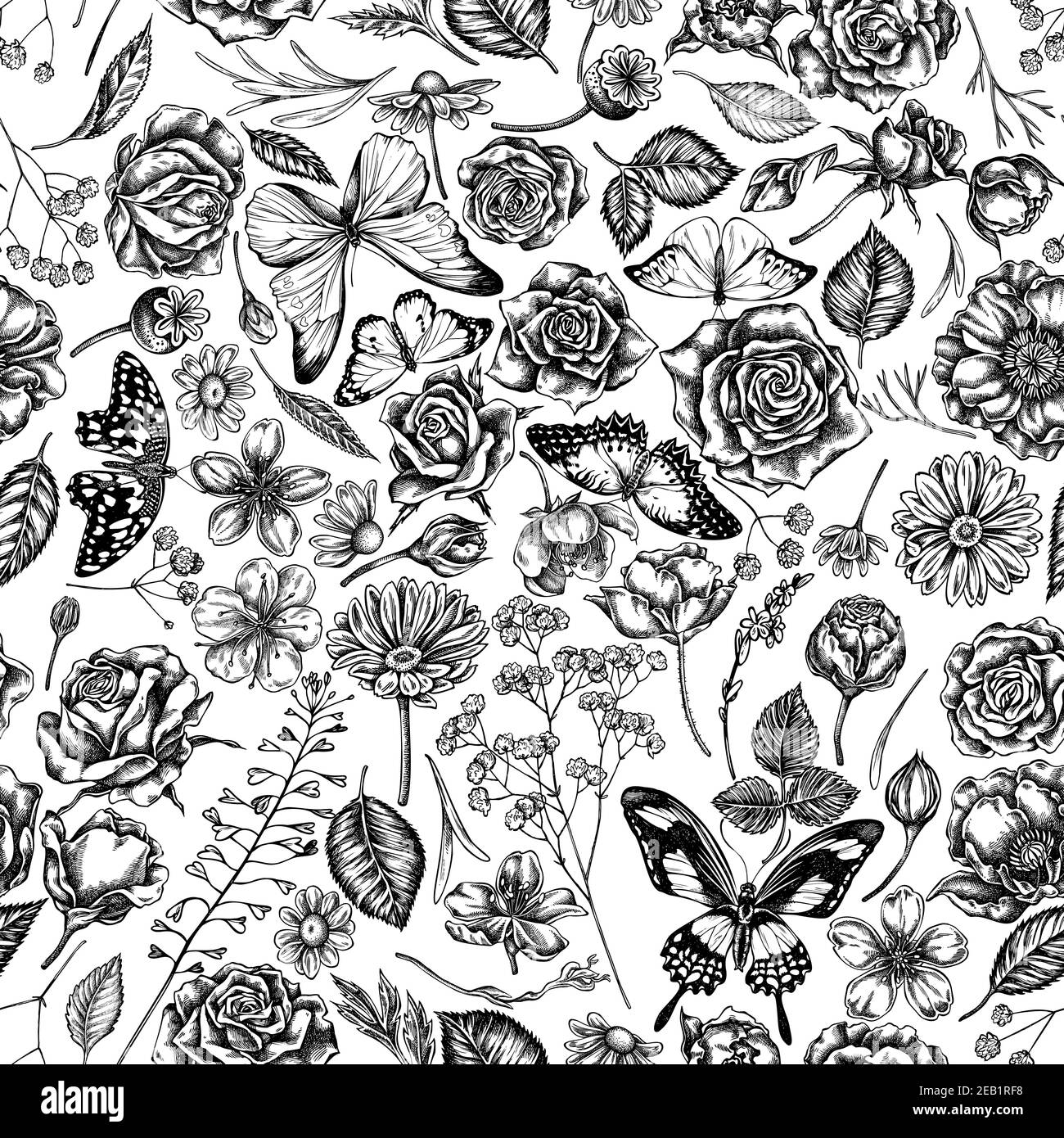 Butterfly iris flower Black and White Stock Photos & Images - Alamy