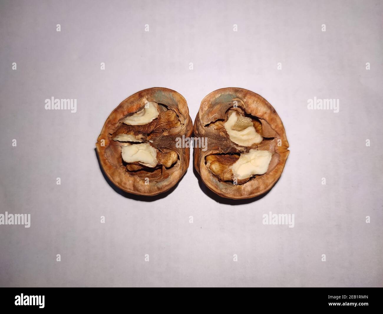 Broken walnut hi-res stock photography and images - Alamy