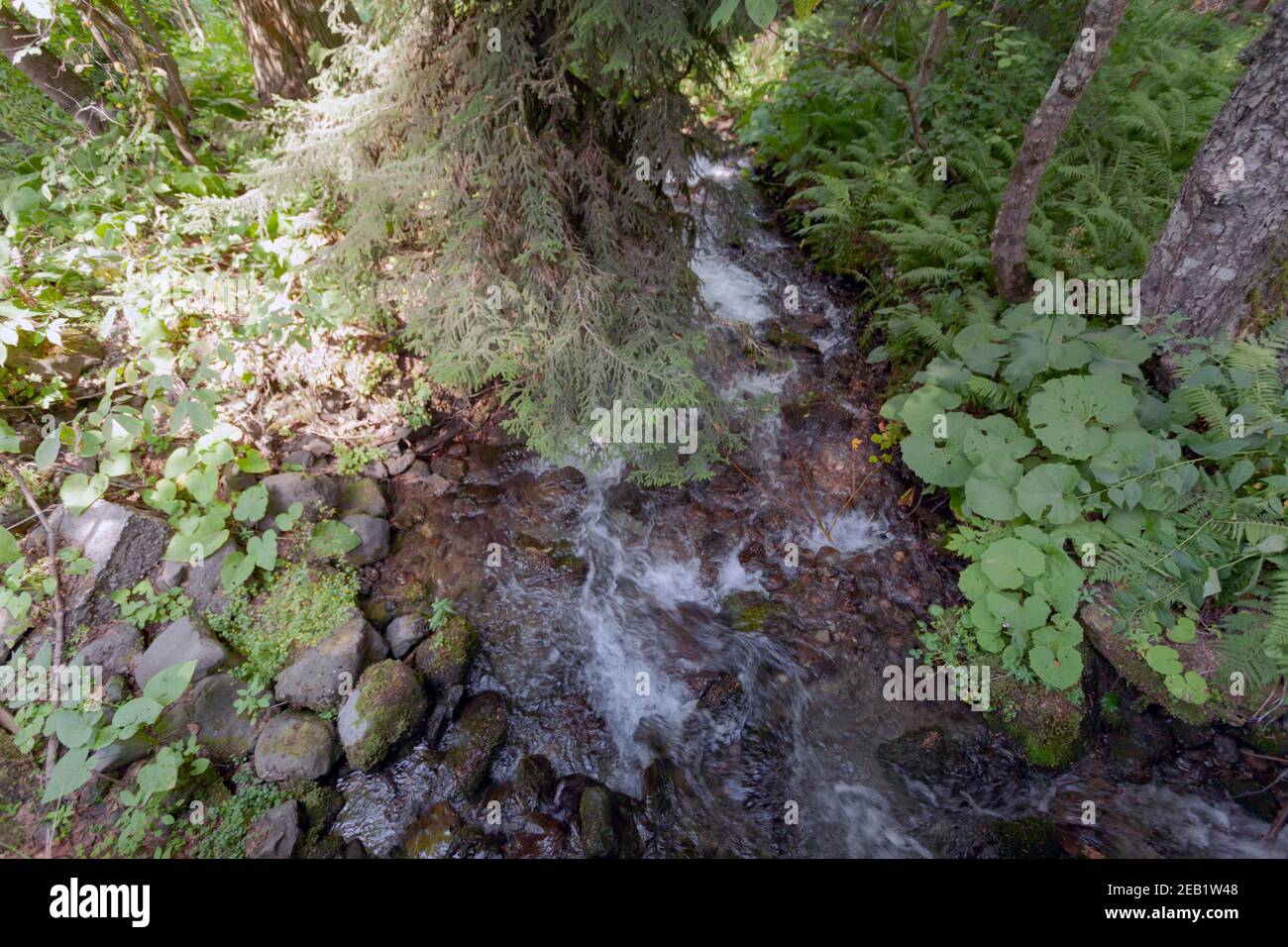 Small mountain waterfall clear water hi-res stock photography and ...