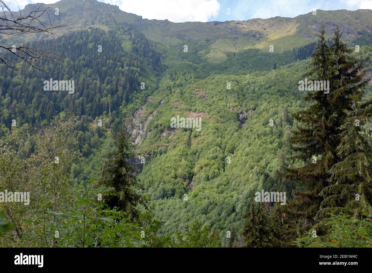 Green mountain slope Stock Photo - Alamy
