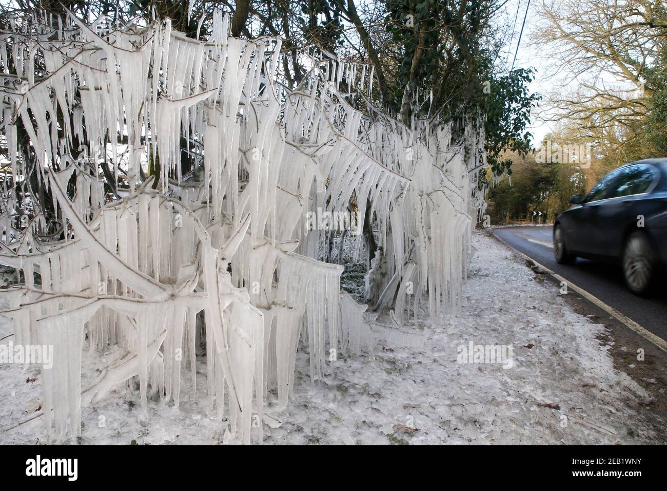 11th February 2021. A mass of icicles have formed during the coldest ...