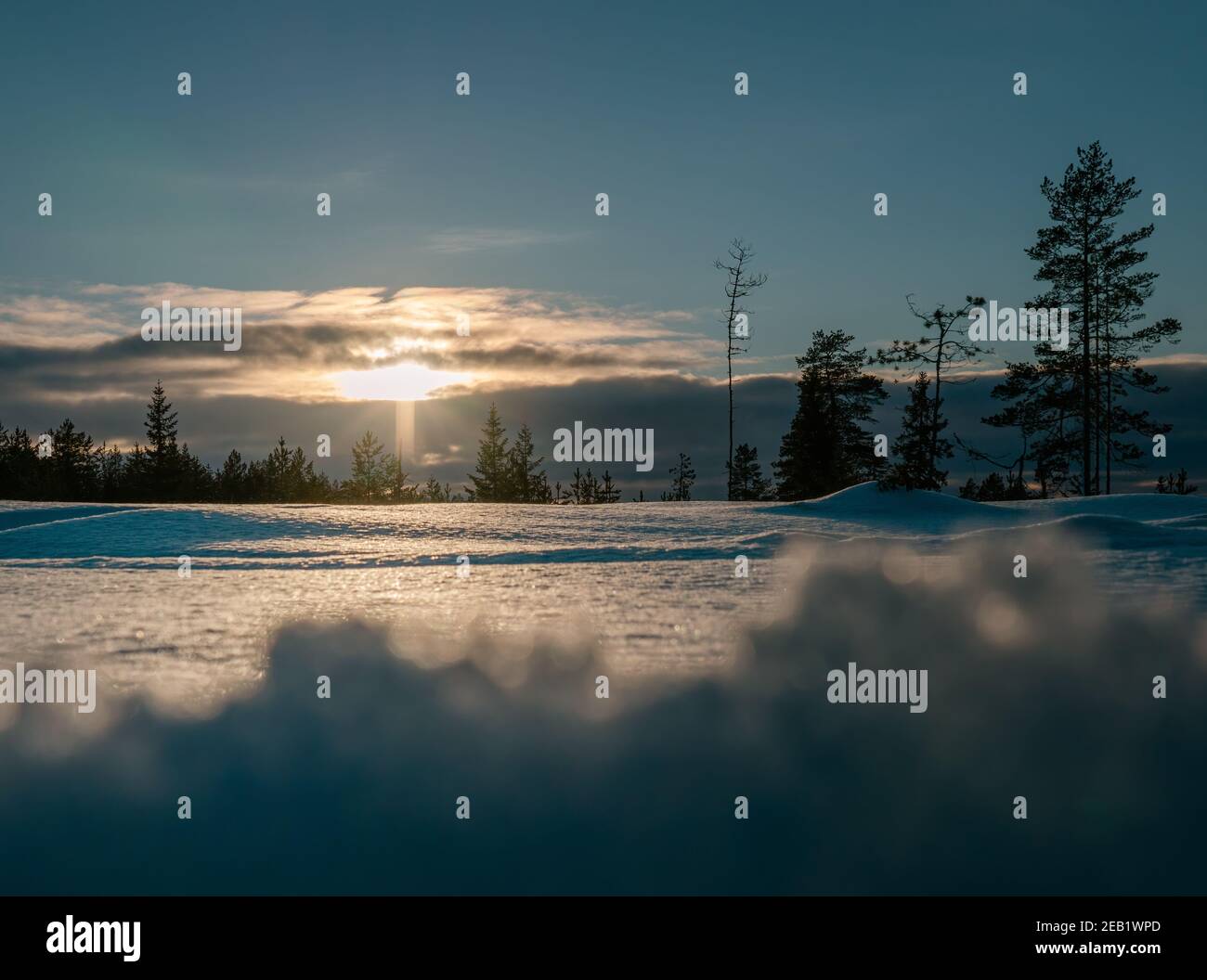 Magnificent photo of vertical light orange Sun beam shining from behind ...