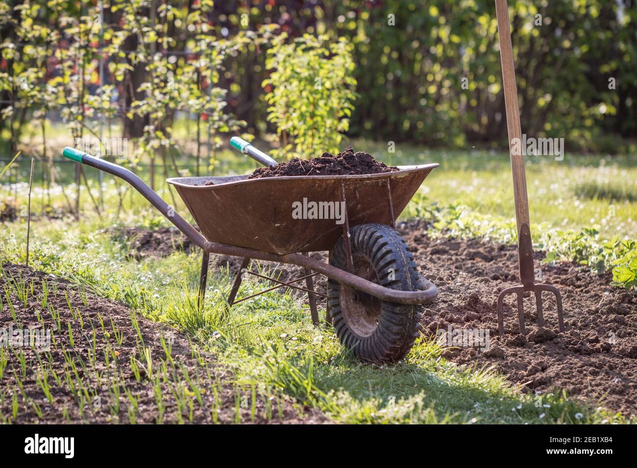 Wheelbarrow vegetable garden gardening hi-res stock photography and ...