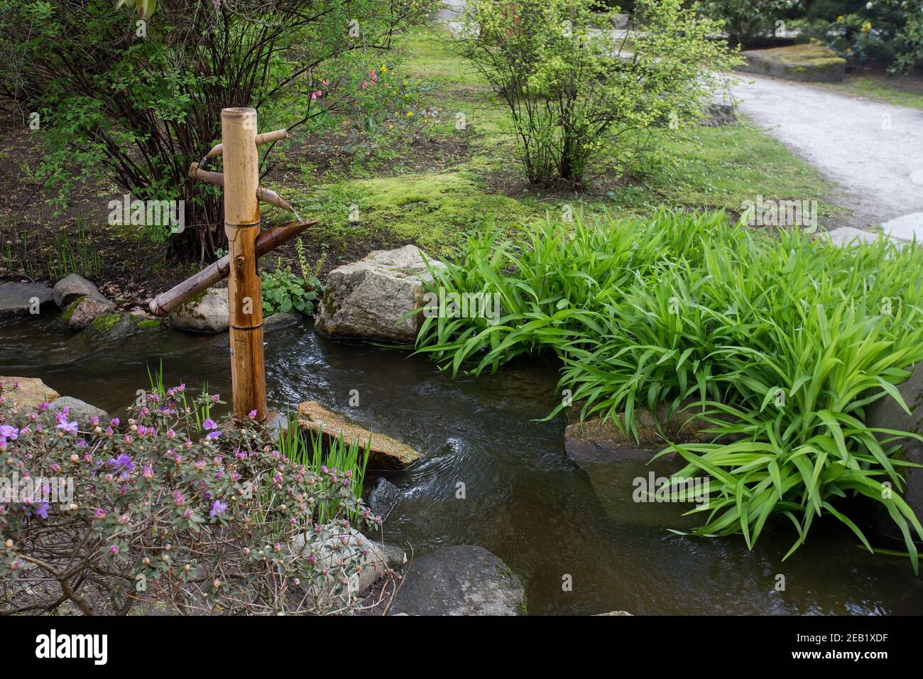 Bamboo water source and stream in Wroclaw . Amazing day in japanese ...
