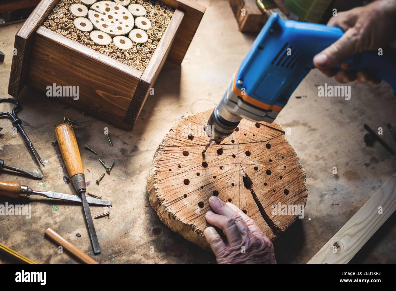 Craftsperson making wooden insect house. Carpenter using drill in ...
