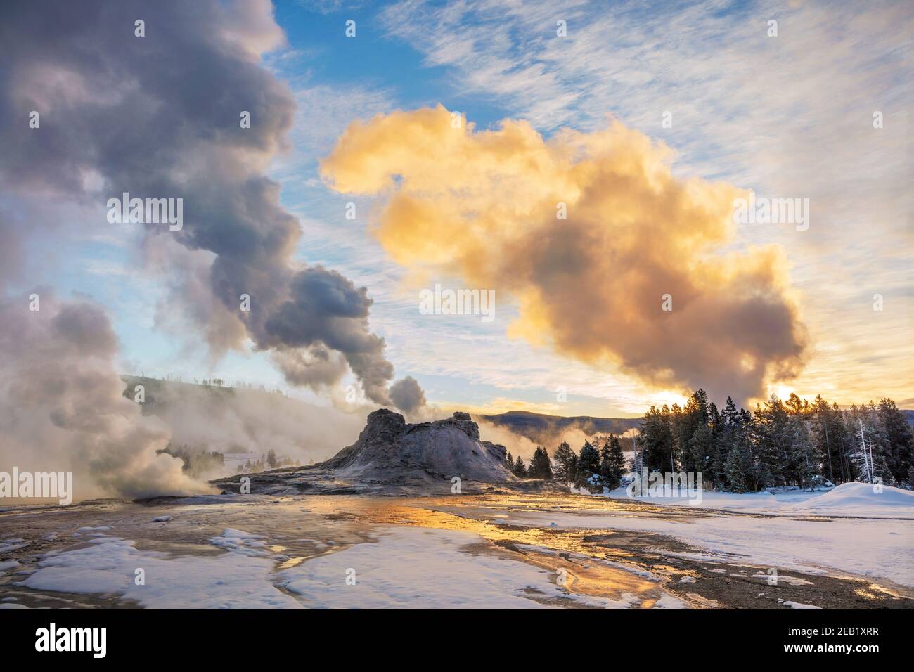 Yellowstone National Park, WY: Steam venting from Castle Geyser with ...