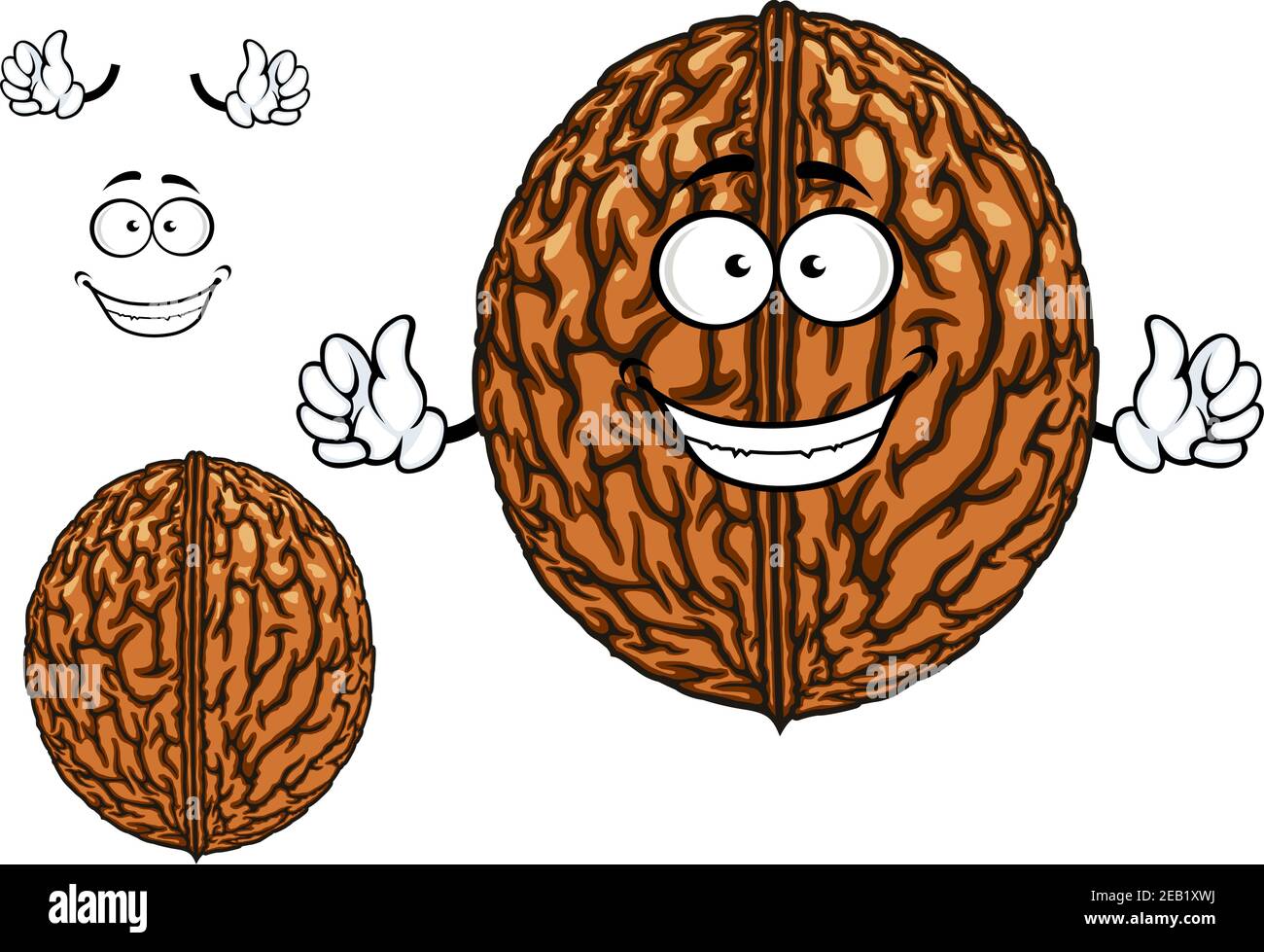 Walnut in husk Stock Vector Images - Alamy