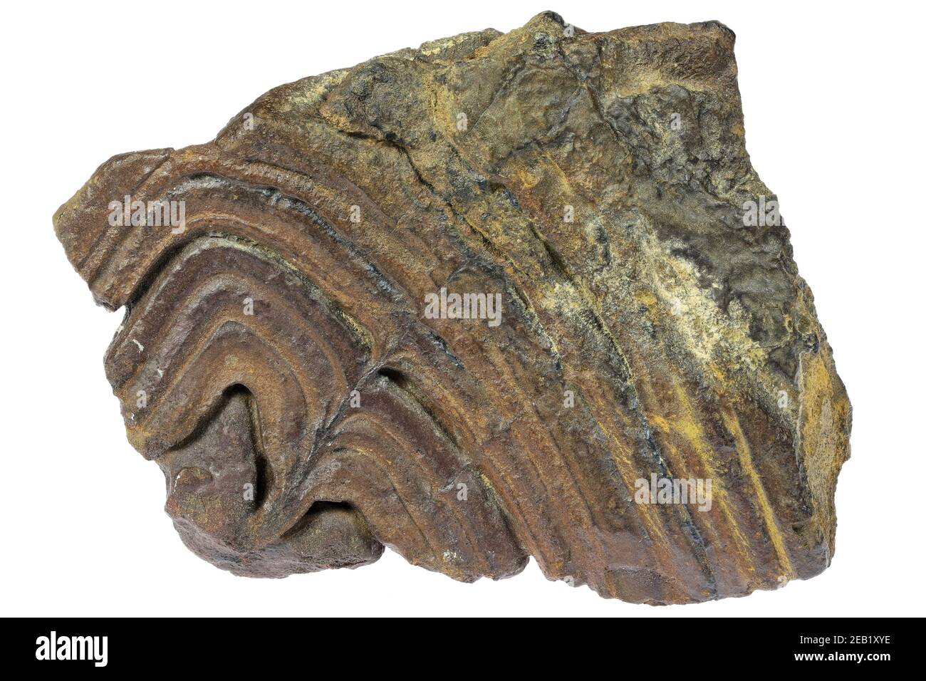 banded iron ore from desert area in northern Chad, Africa isolated on ...