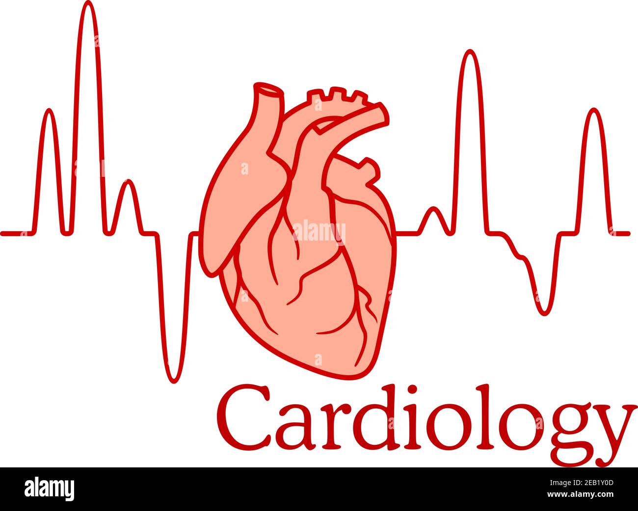 Cardiology concept with an ECG tracing of the heart beat and heart in a ...