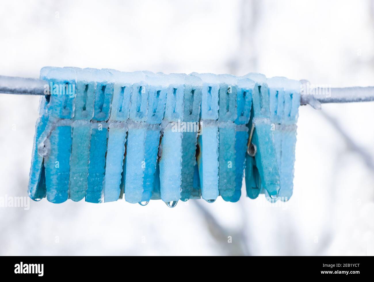 Frozen clothes pegs in winter time - Ice covered Stock Photo - Alamy