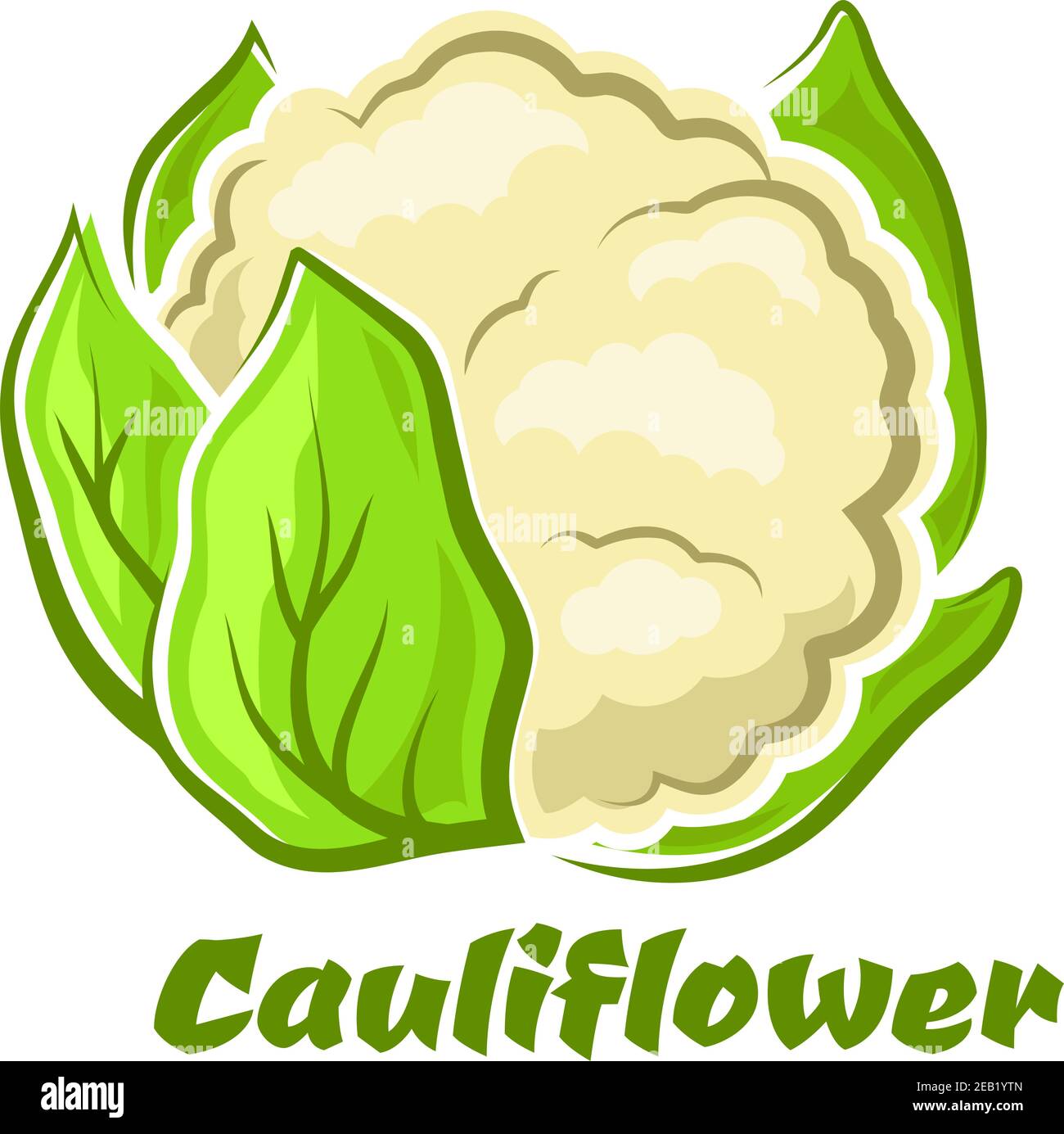 Knobbly leaves Stock Vector Images - Alamy