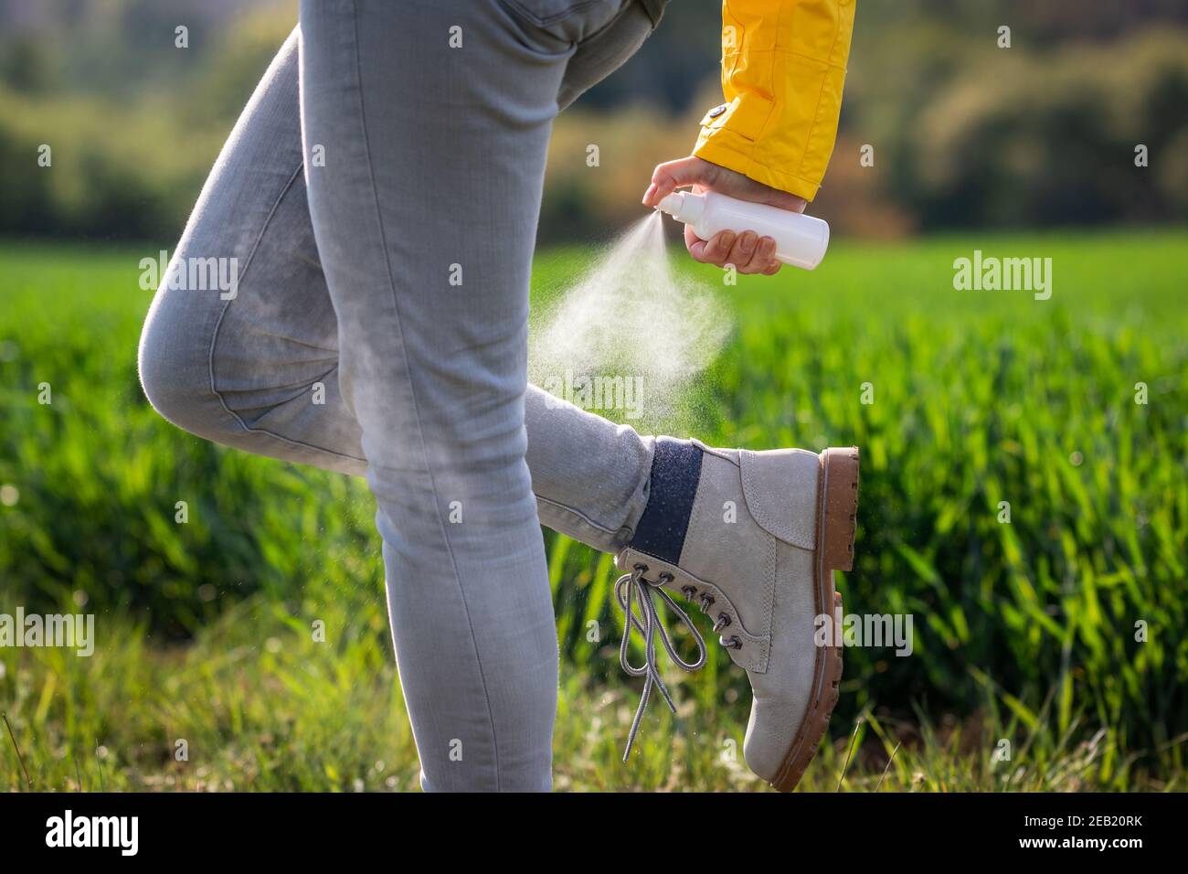 Insect repellent against tick. Woman hiker applying mosquito repellent ...