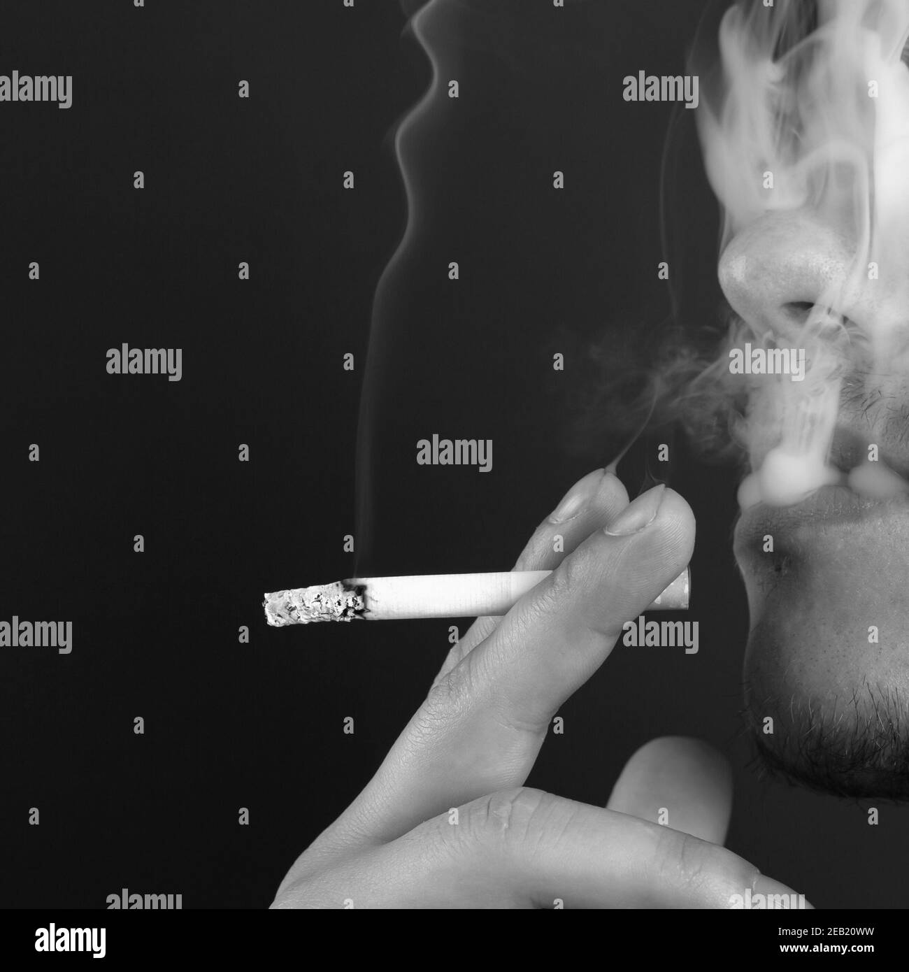 Blowing Weed Smoke Photography