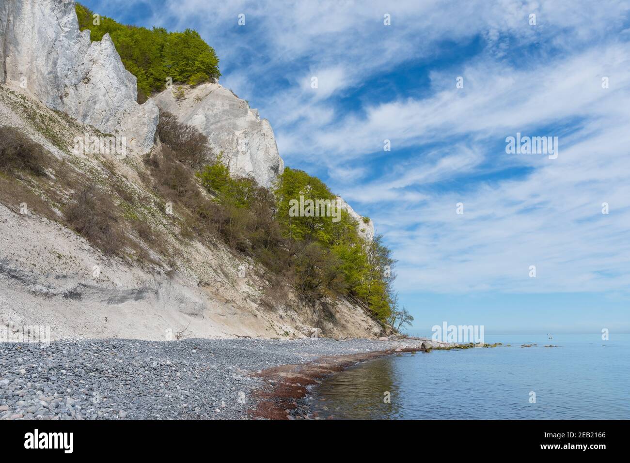 Moens klint chalk cliffs in Denmark Stock Photo - Alamy