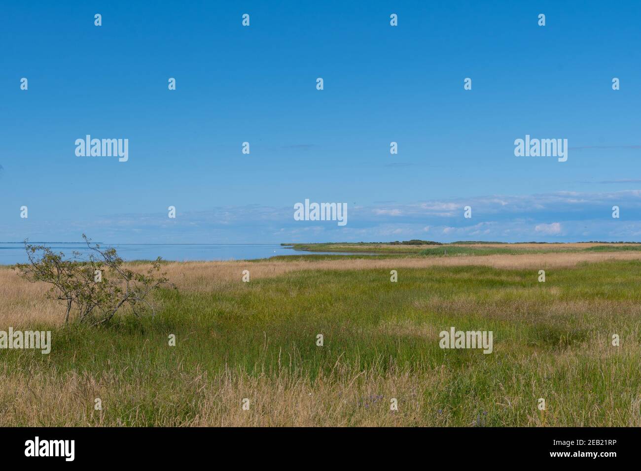 Beautiful nature landscape on Ulvshale on island of Moen in Denmark on ...