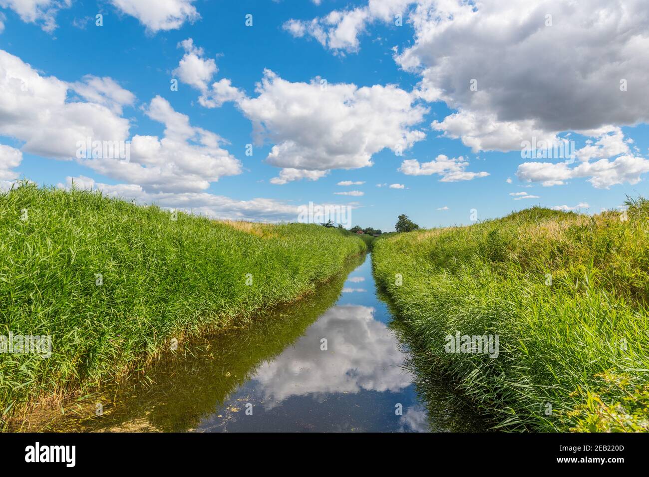 drainage channel near Avno in Denmark on a sunny summer day Stock Photo ...