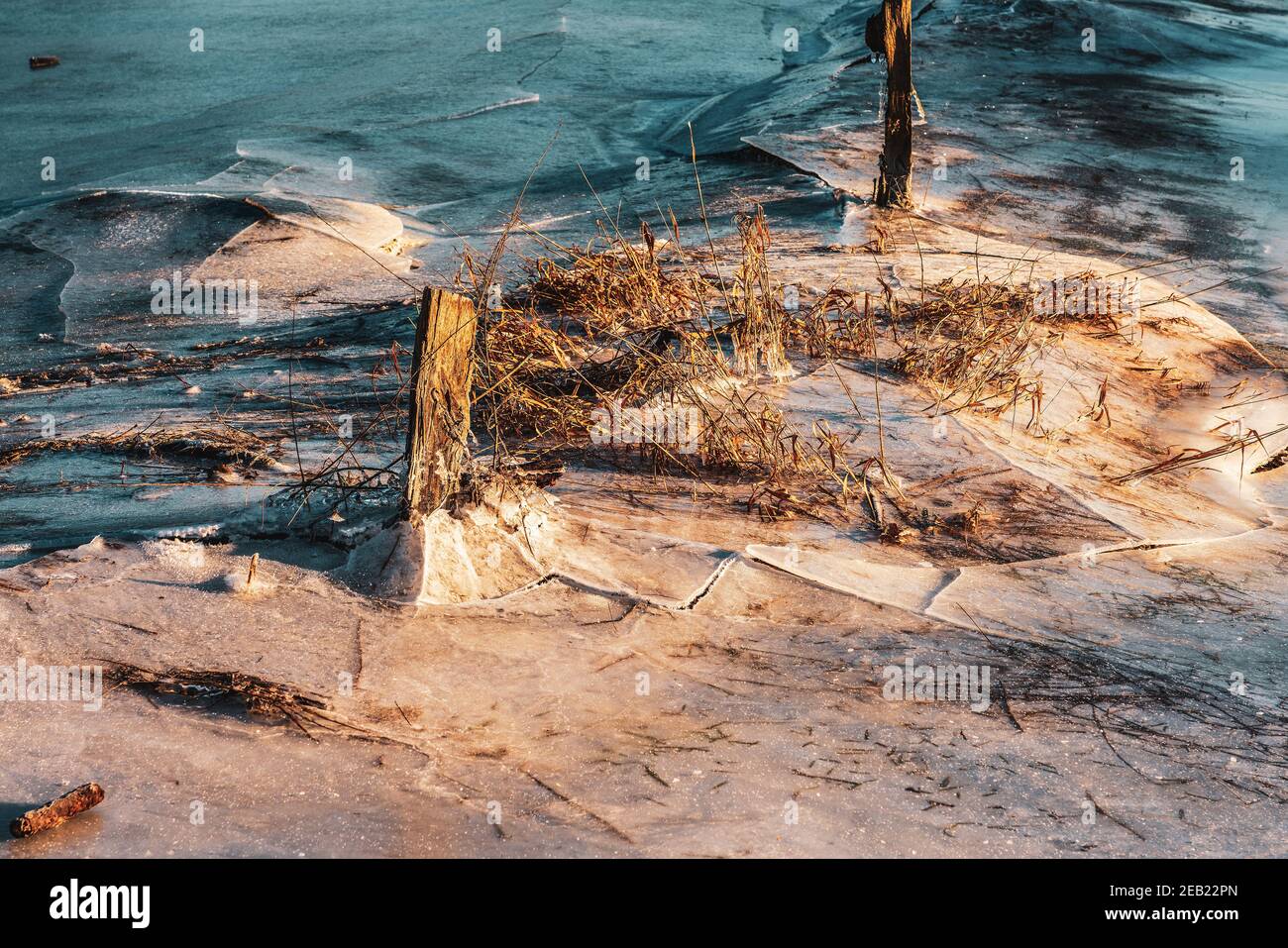 frozen field and trees after flooding, Germany Stock Photo - Alamy
