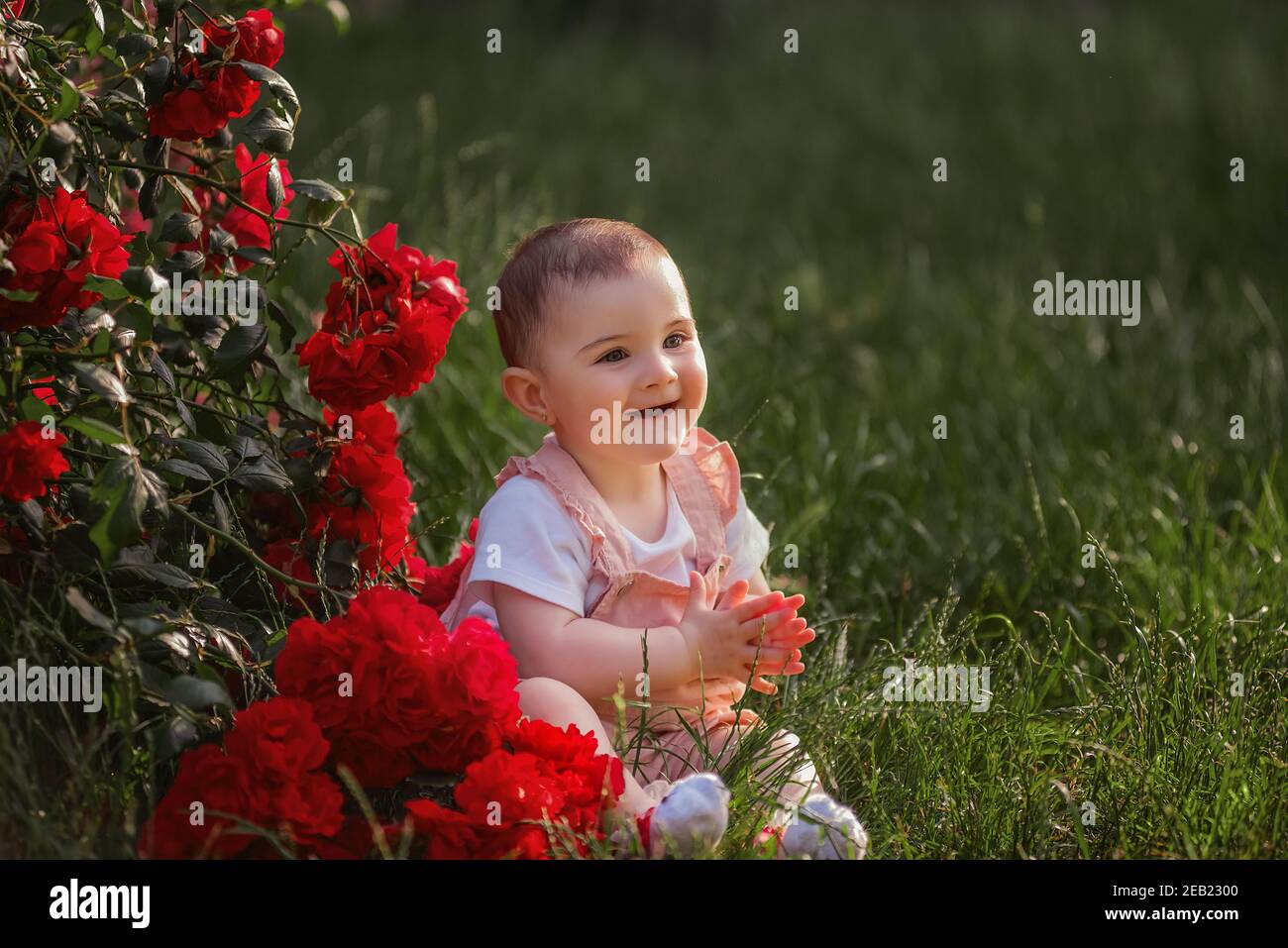 Cute Babies With Roses