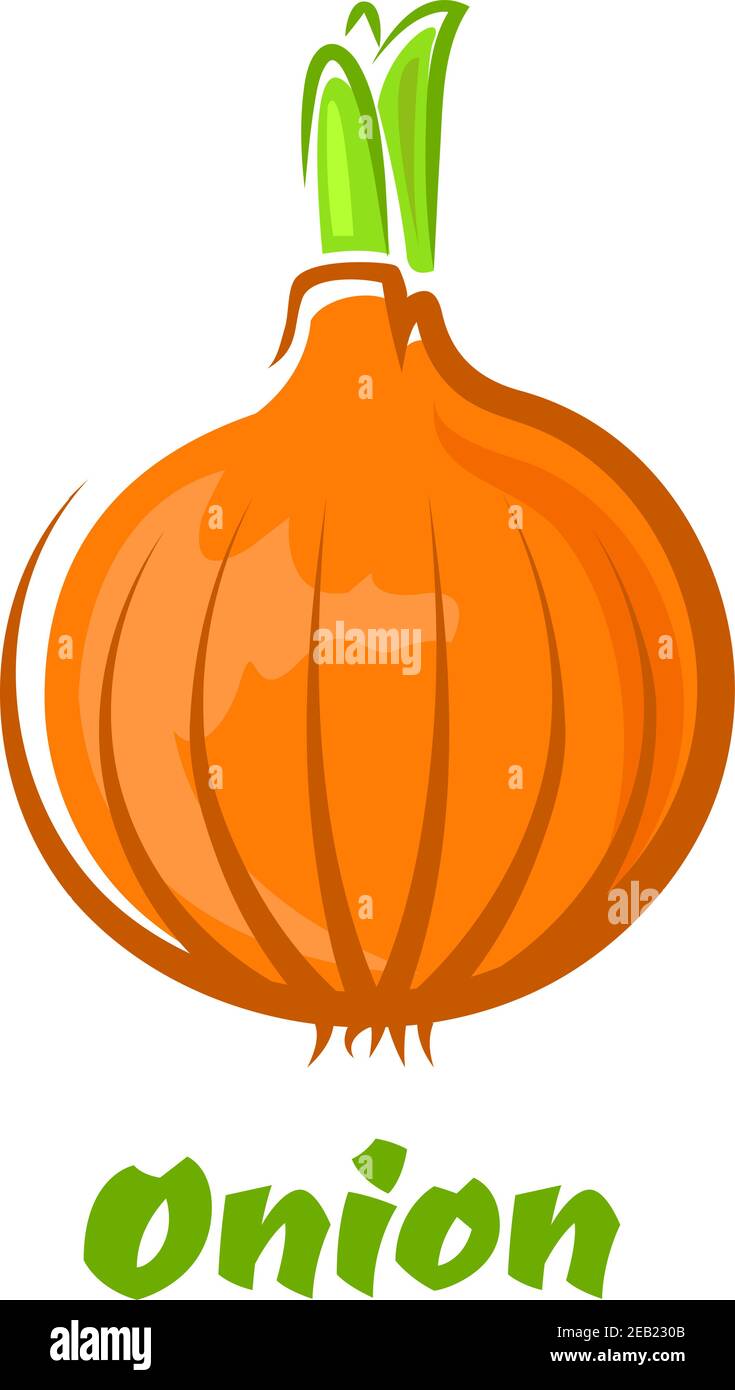 Dry ripe brown bulb onion in cartoon style with bright green sprouted ...