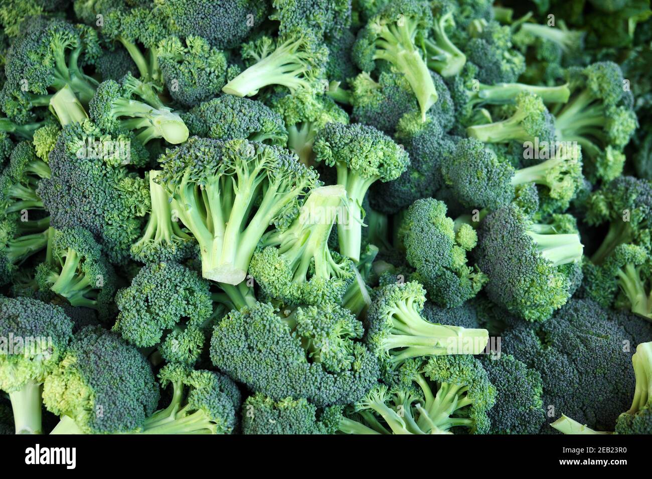 a bunch of broccoli ready to cook with pasta Stock Photo - Alamy