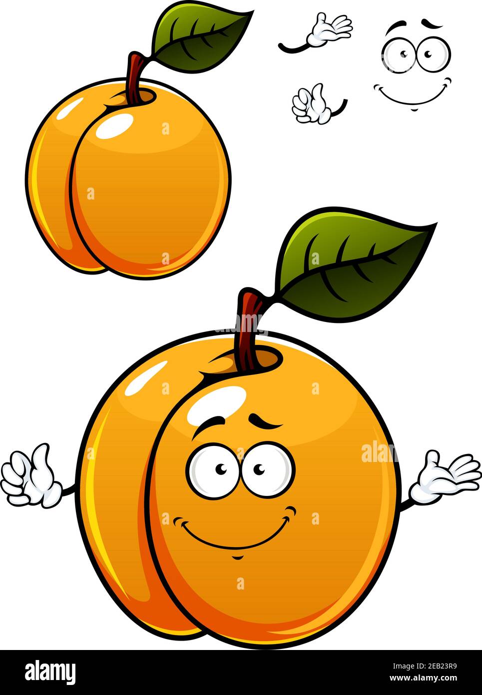 Fun colorful cartoon apricot fruit character with a green leaf, happy ...