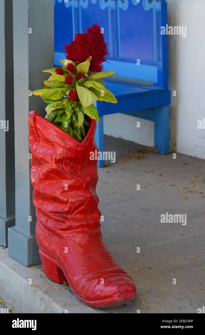 A plant container made in the shape of a cowboy boot on the porch of a ...