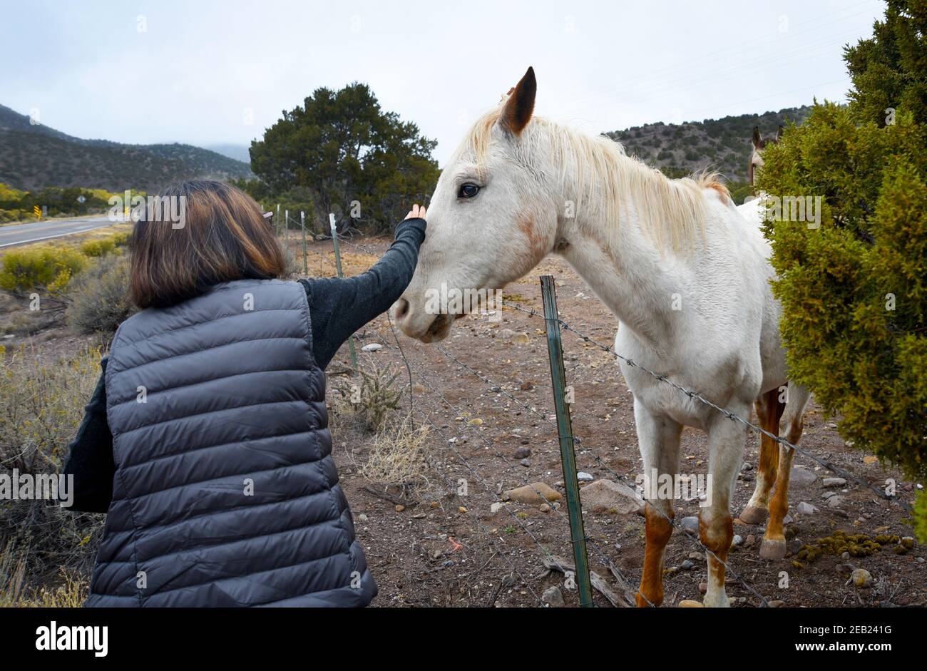 Ojo caliente new hi-res stock photography and images - Alamy