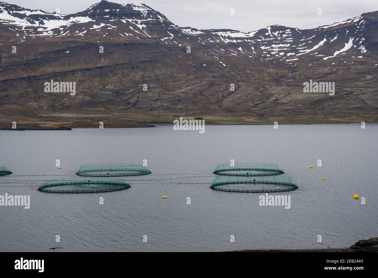 Fish farming icelandic fjord hi-res stock photography and images - Alamy