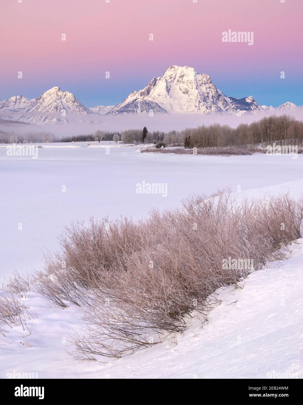 Grand Teton National Park, WY: Mount Moran and Teton Range at dawn with ...