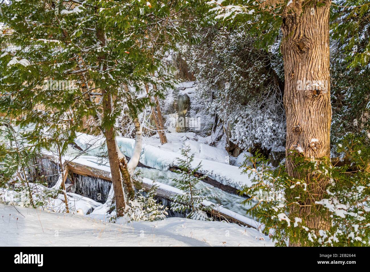 Hawk Lake Log Chute Algonquin Highlands Haliburton County Ontario ...