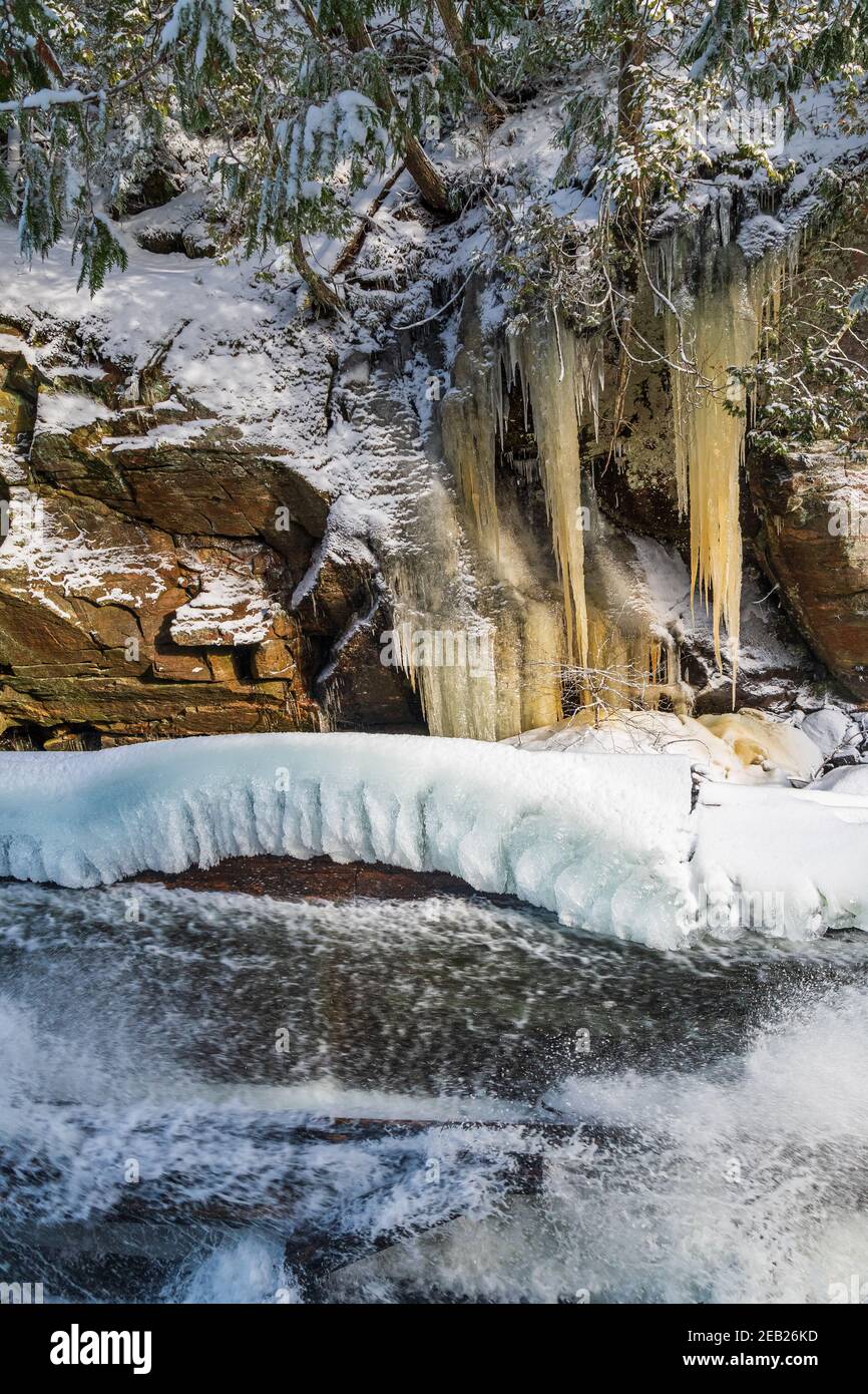 Hawk Lake Log Chute Algonquin Highlands Haliburton County Ontario ...
