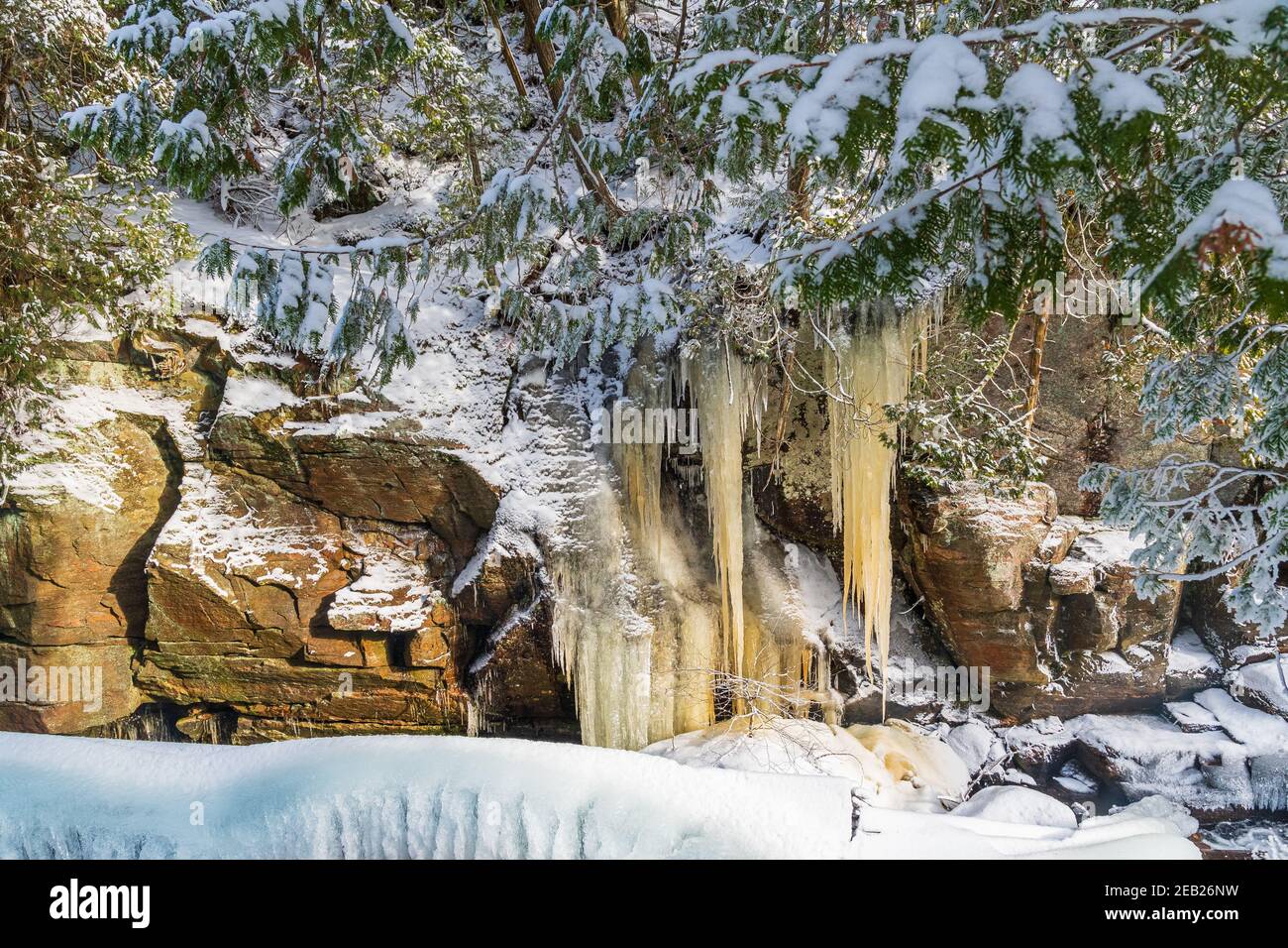 Hawk Lake Log Chute Algonquin Highlands Haliburton County Ontario ...