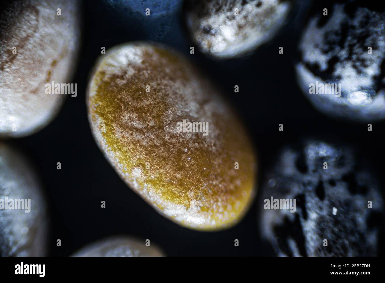 Cooking soft focus light hi-res stock photography and images - Alamy