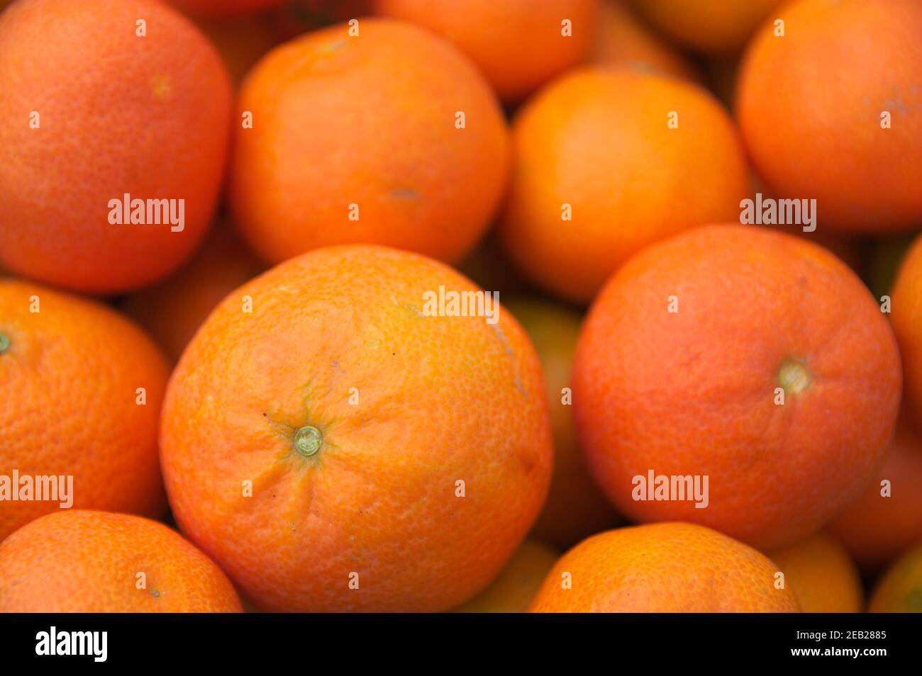 Naveline hi-res stock photography and images - Alamy