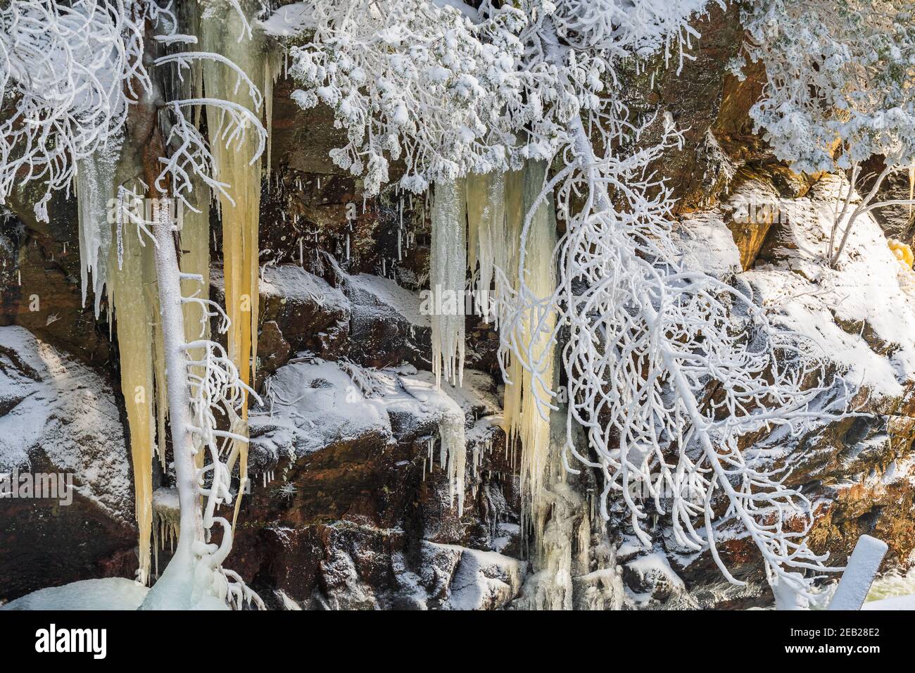 Hawk Lake Log Chute Algonquin Highlands Haliburton County Ontario ...