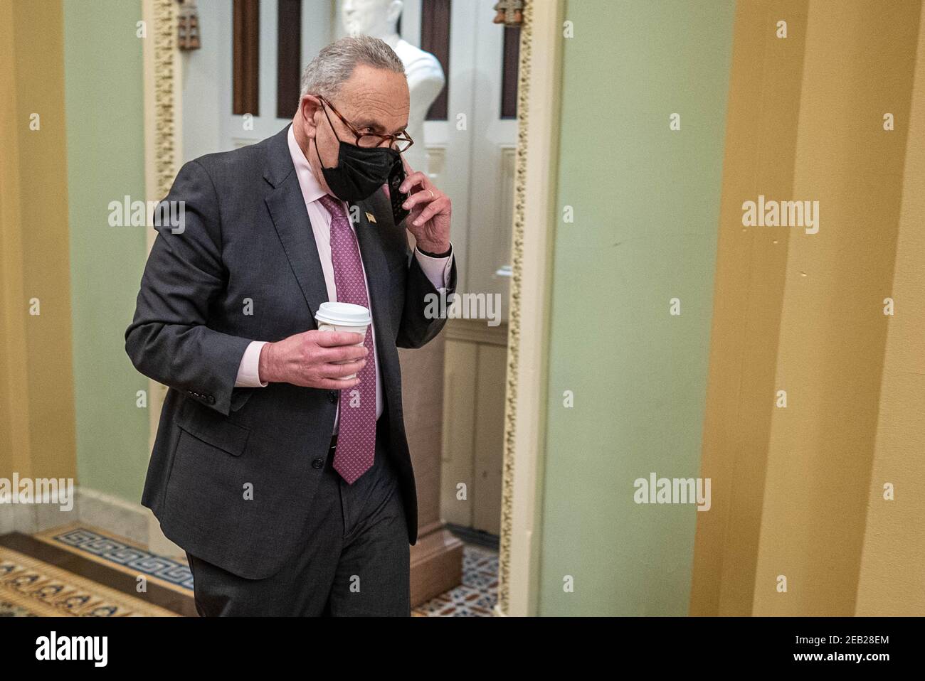 Senate Majority Leader Charles Schumer, D-NY, speaks on his phone in ...