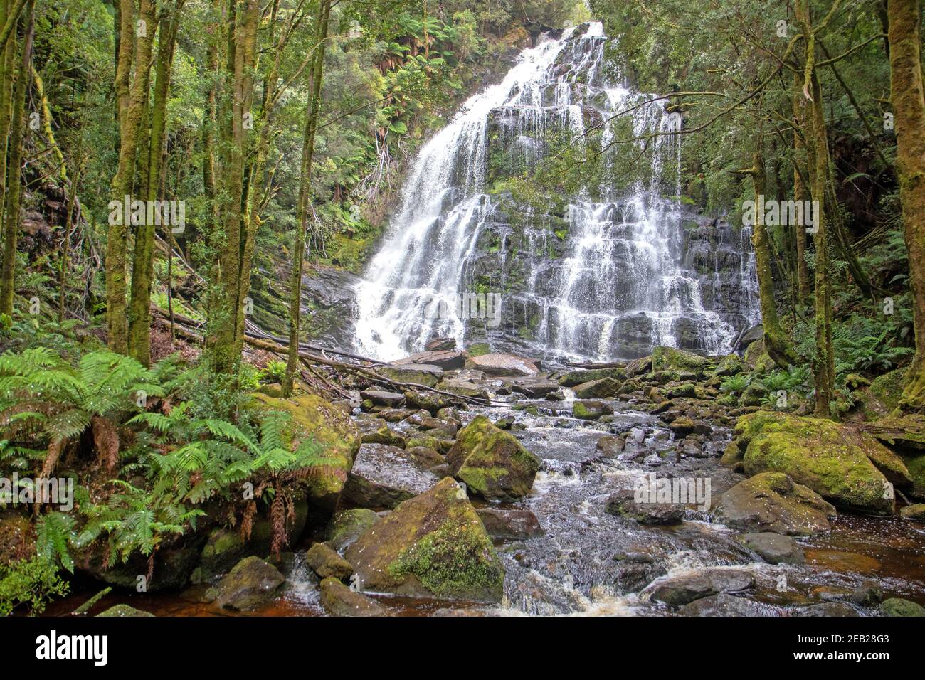 Nelson Falls, Franklin-Gordon Wild Rivers National Park Stock Photo - Alamy