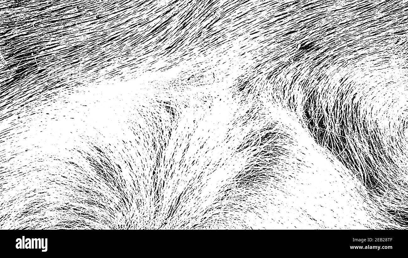 Simple abstract black and white drawing. Expressive drawing. Abstract ...