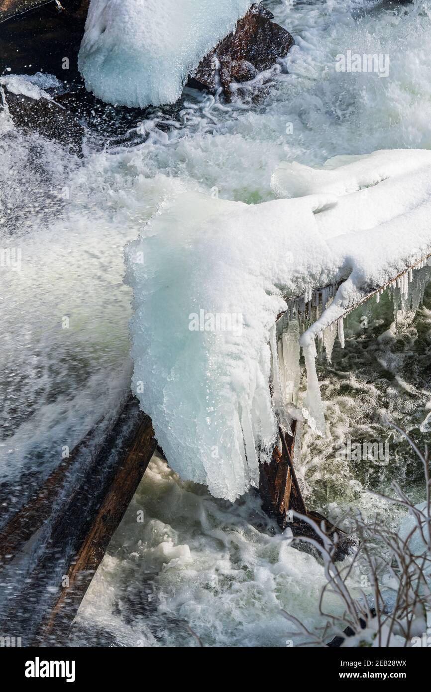 Hawk Lake Log Chute Algonquin Highlands Haliburton County Ontario ...