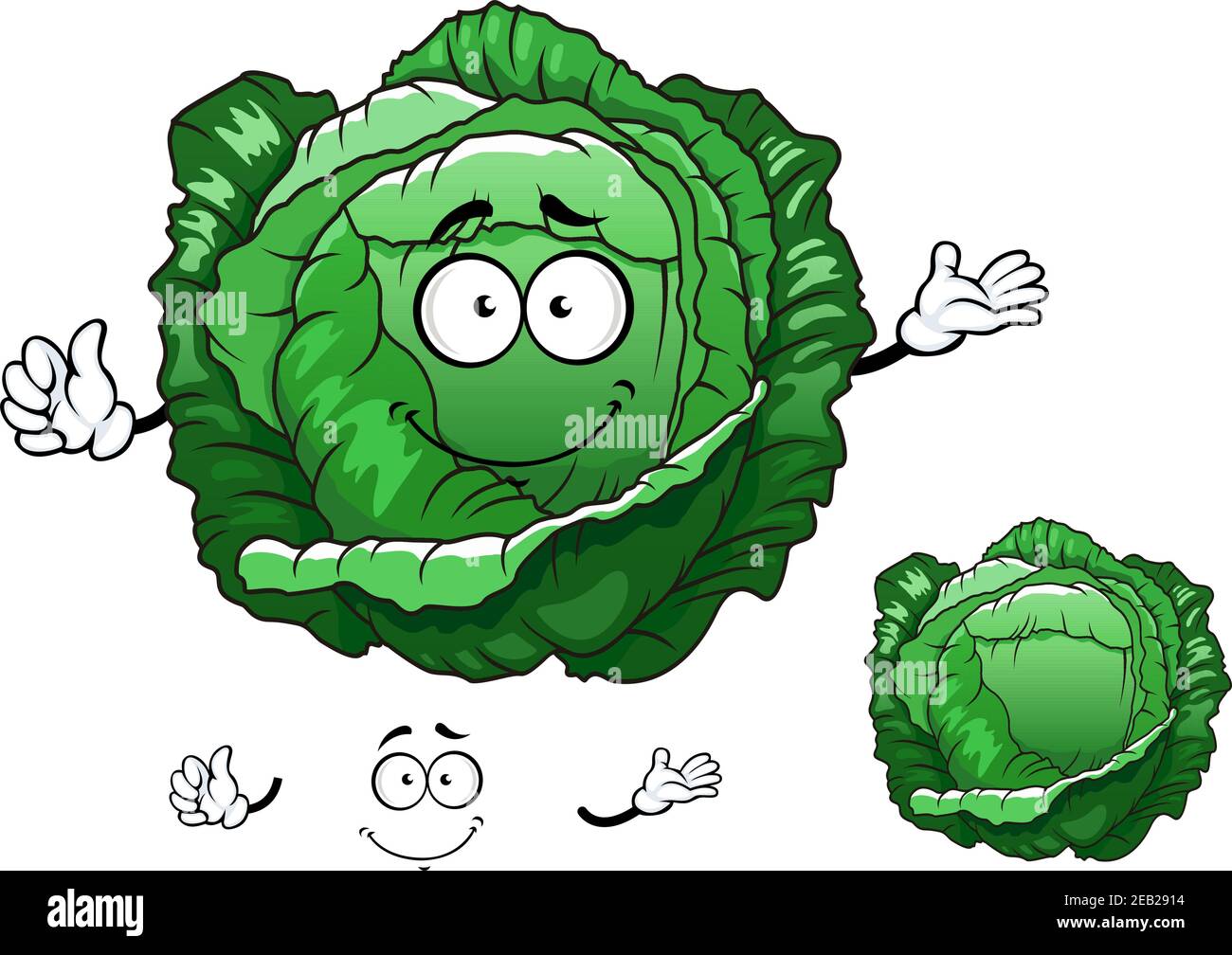 Crunchy fresh cabbage vegetable cartoon character with sappy bright ...
