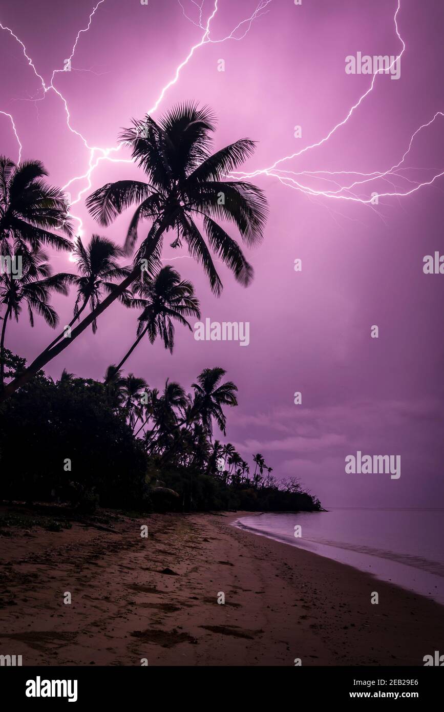 Lightning thunder tree hi-res stock photography and images - Alamy