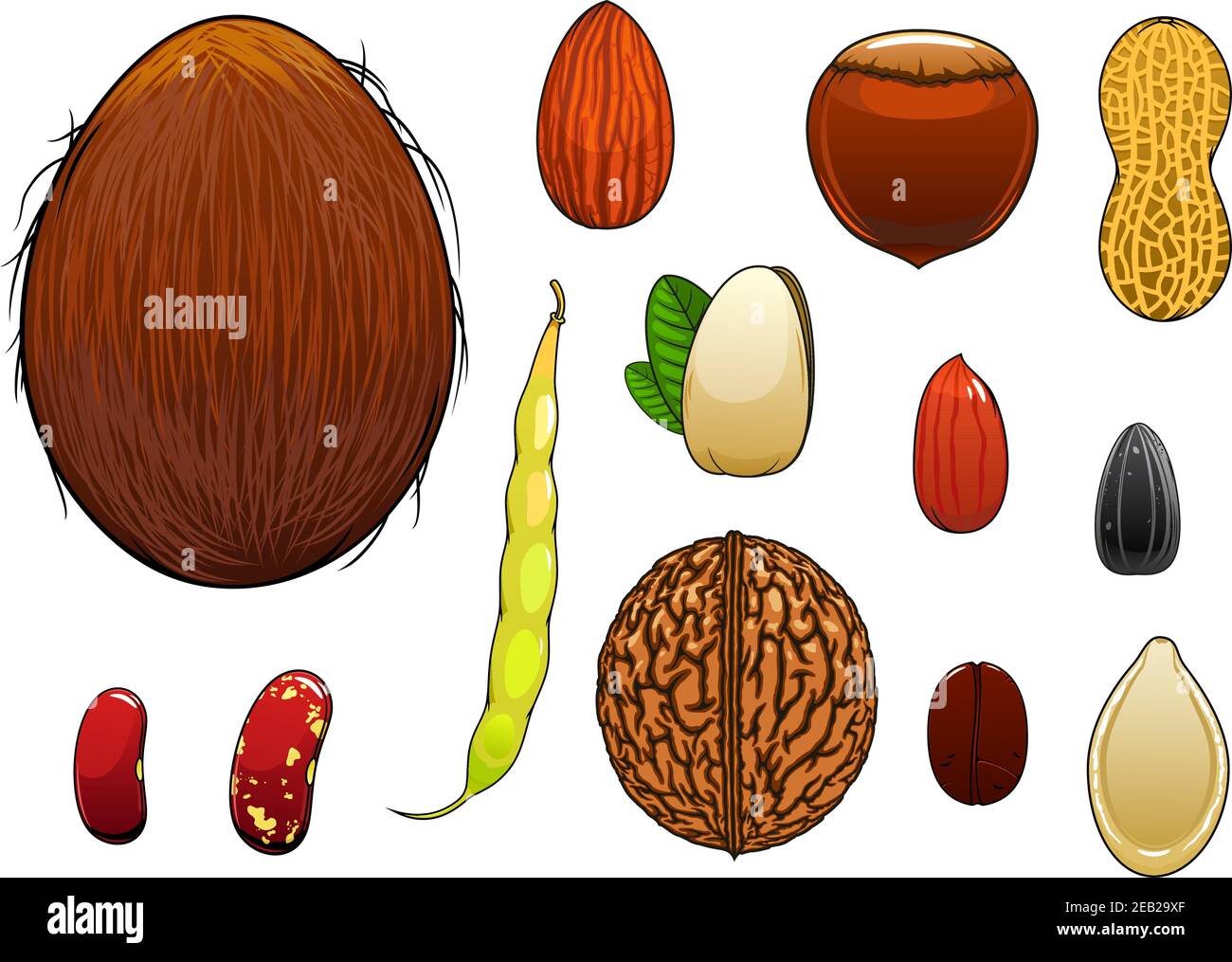 Coffee bean dried Stock Vector Images - Alamy