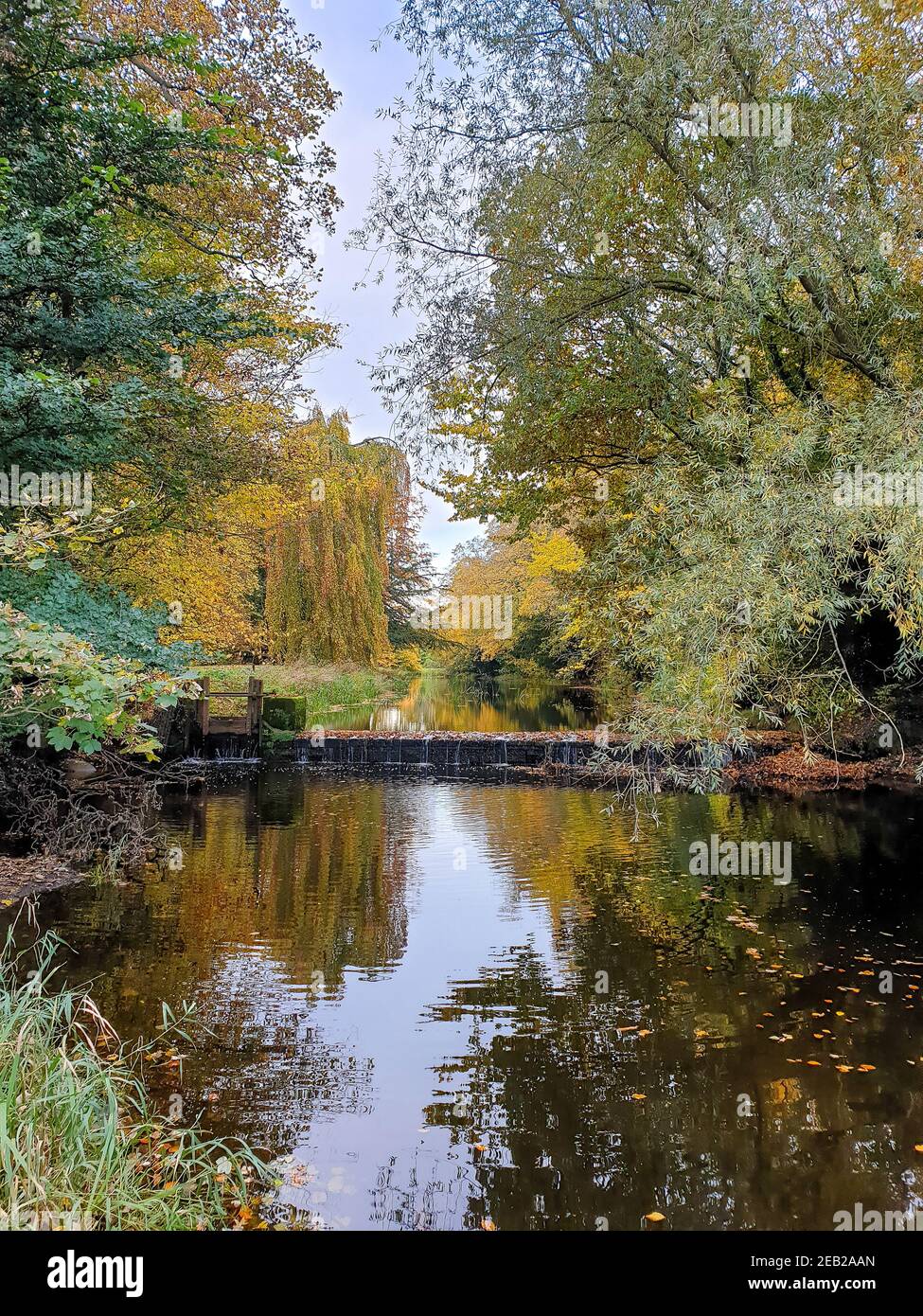 River Trent stream, autumn trees in water reflection, Great Haywood ...