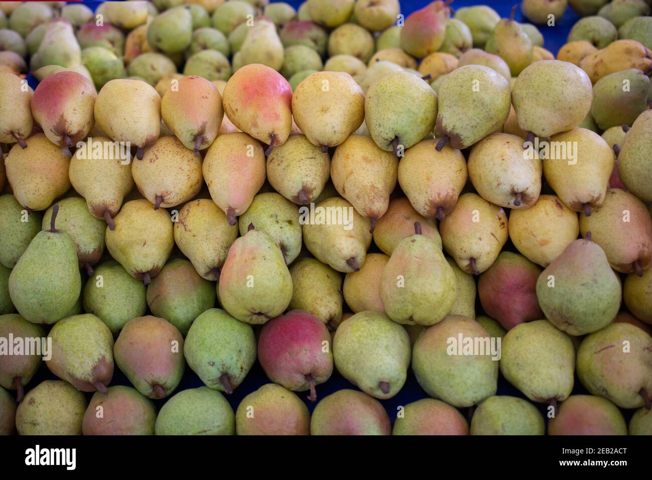 Organic market fresh Pears on an agricultural market. Image of fruit ...