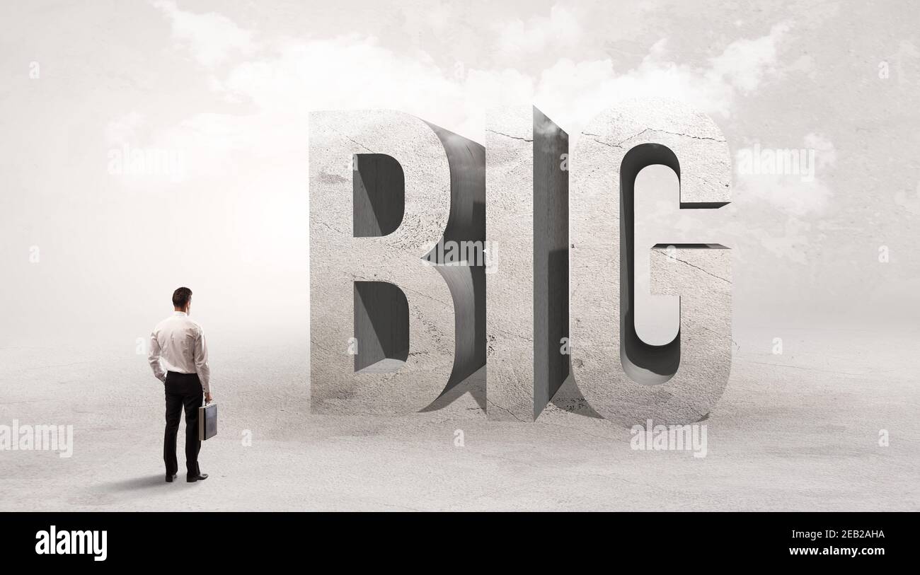 Rear view of a businessman standing in front of BIG abbreviation ...