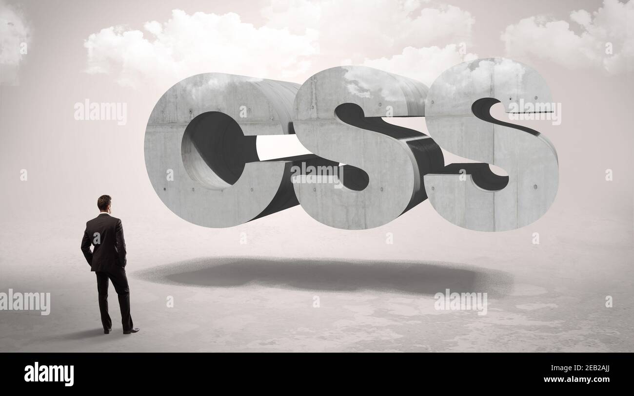 Rear view of a businessman standing in front of CSS abbreviation ...