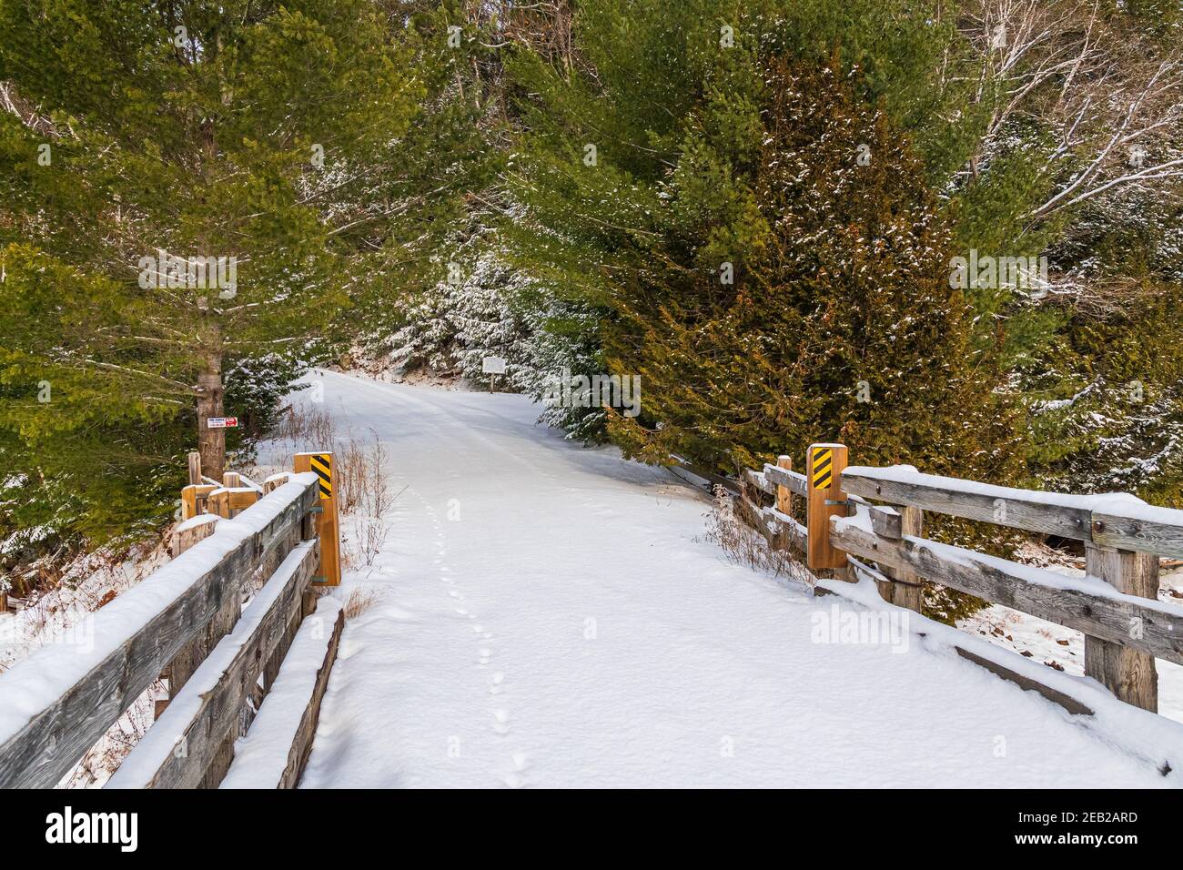 Hawk Lake Log Chute Algonquin Highlands Haliburton County Ontario ...