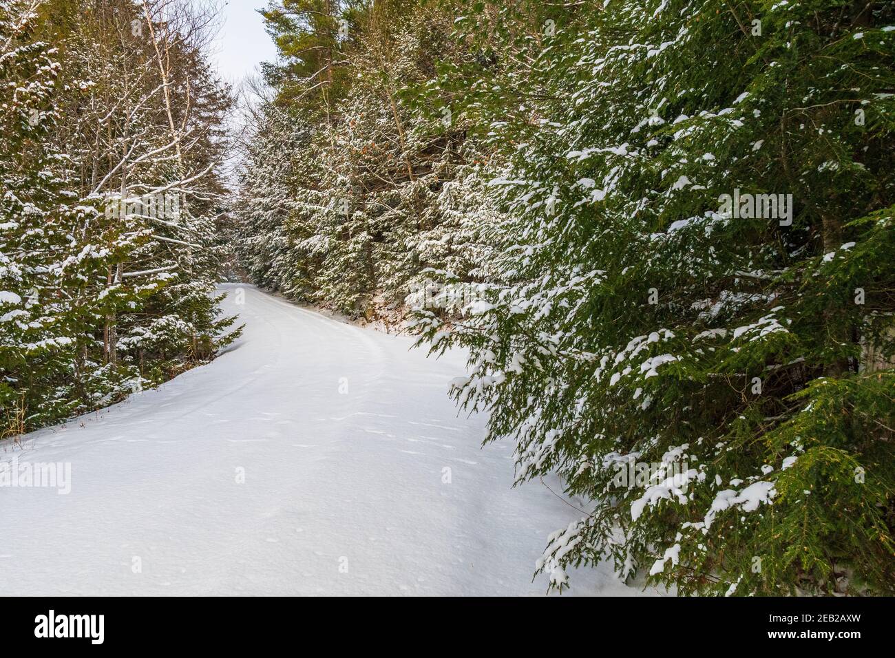 Hawk Lake Log Chute Algonquin Highlands Haliburton County Ontario ...