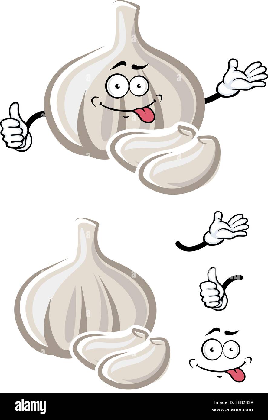 Cartoon ripe bulb of white garlic vegetable cartoon character with ...